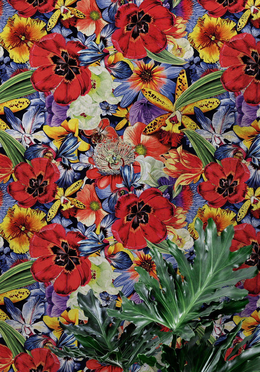 Colorful Blooming Flower Wall Mural. Tropical Floral Design Pattern Pe