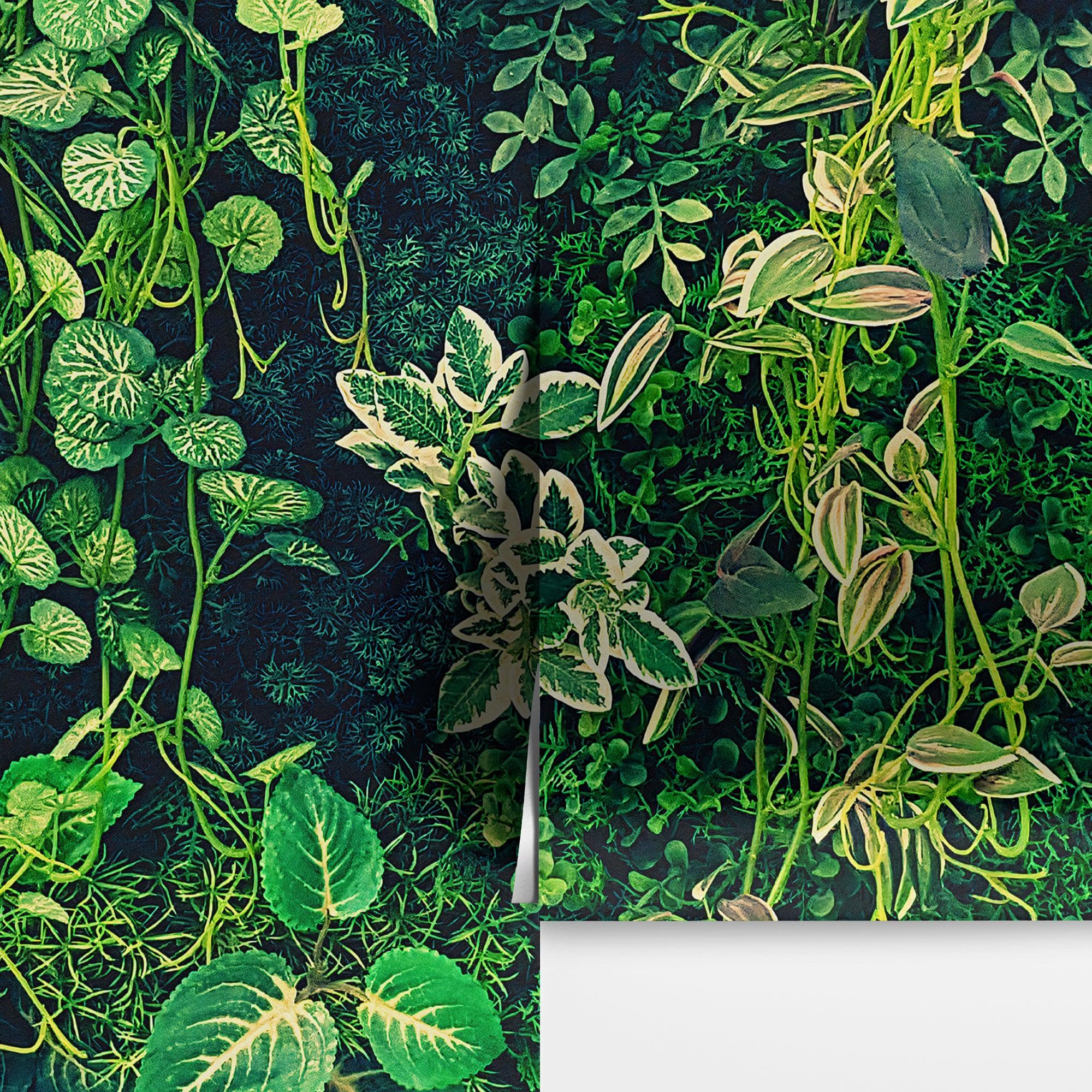 Greenery Jungle Bush Wallpaper Mural. Tropical Leaves / Fern Wallpaper