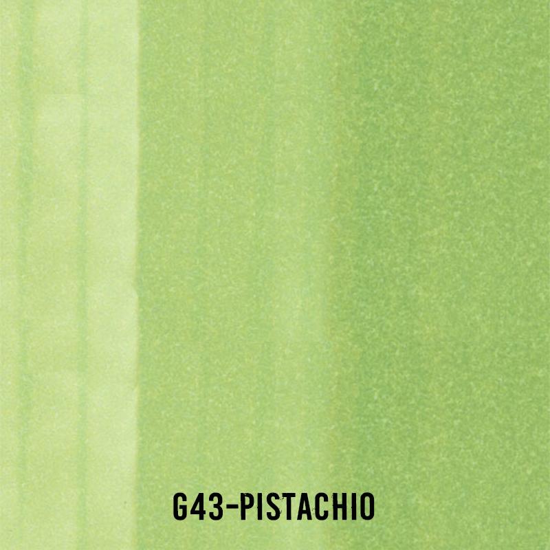 COPIC Sketch Marker G43 Pistachio